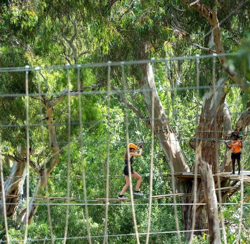 When in Adelaide … – Due South Australia